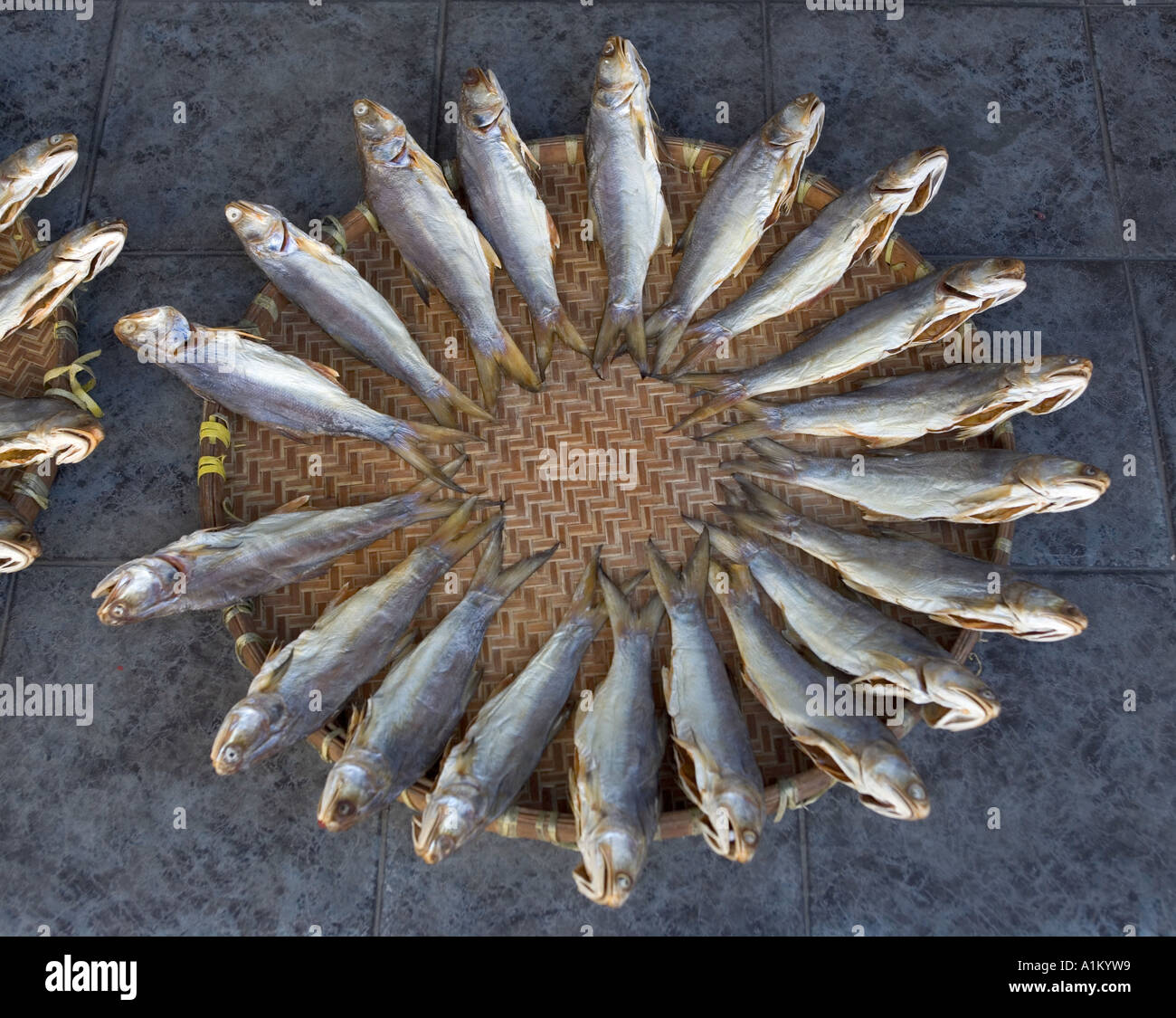 Dried Fish Display Macau Stock Photo - Alamy