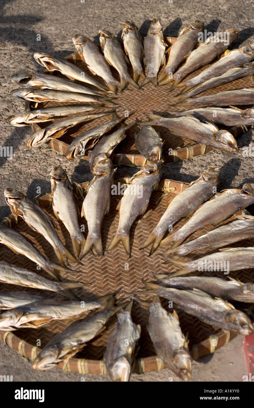 Dried fish on hooks hi-res stock photography and images - Alamy