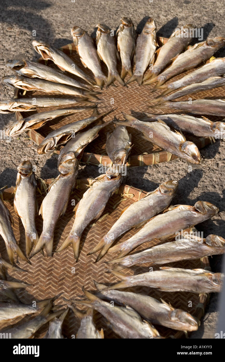 Dried Fish Display Macau Stock Photo - Alamy
