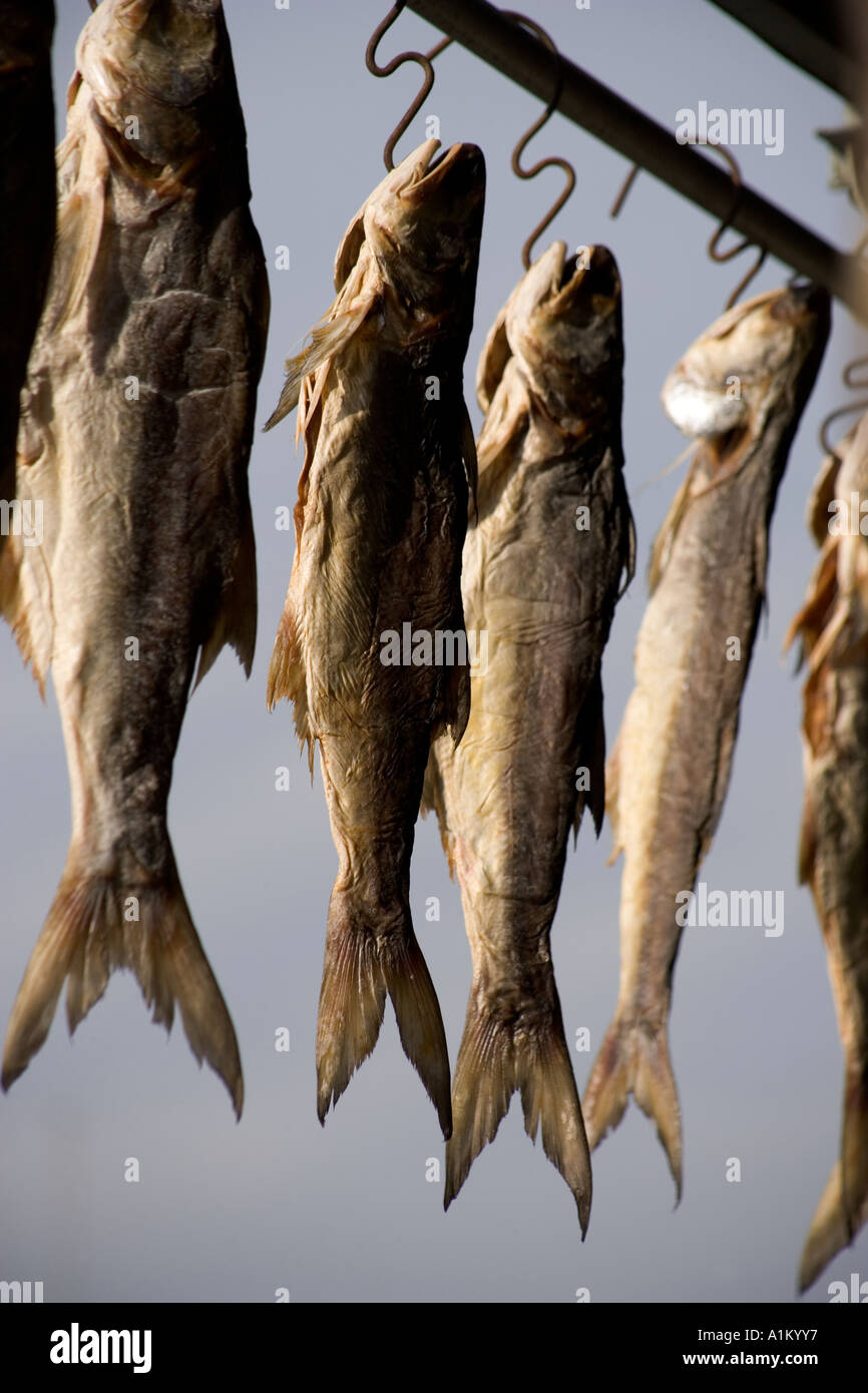 Dried Fish Display Macau Stock Photo - Alamy