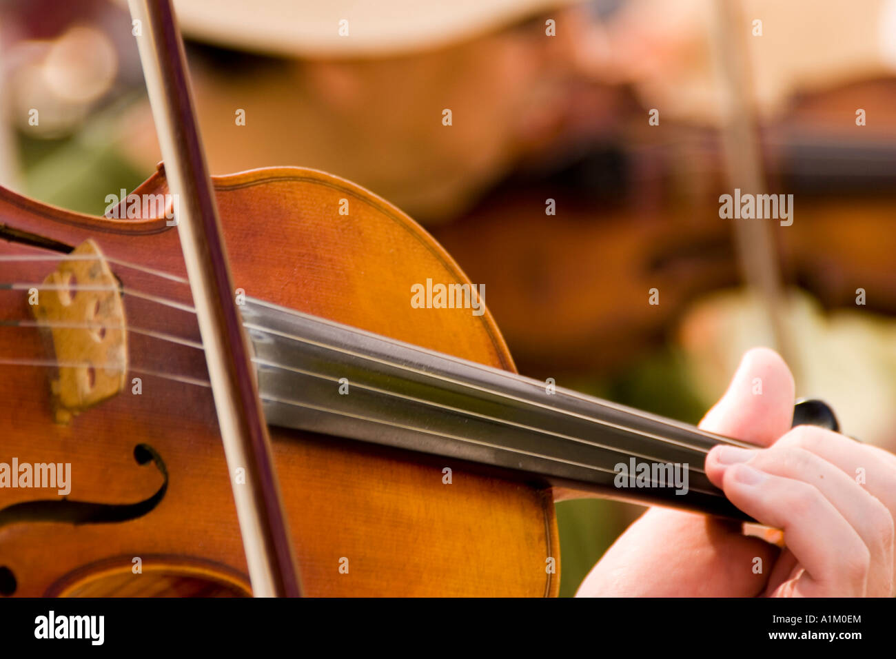 Bluegrass fiddle player hi-res stock photography and images - Alamy