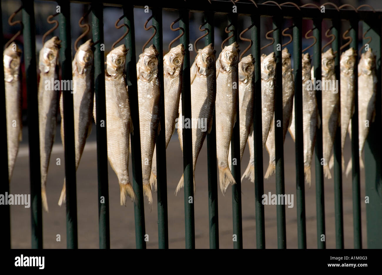 Dried Fish Display Macau Stock Photo - Alamy