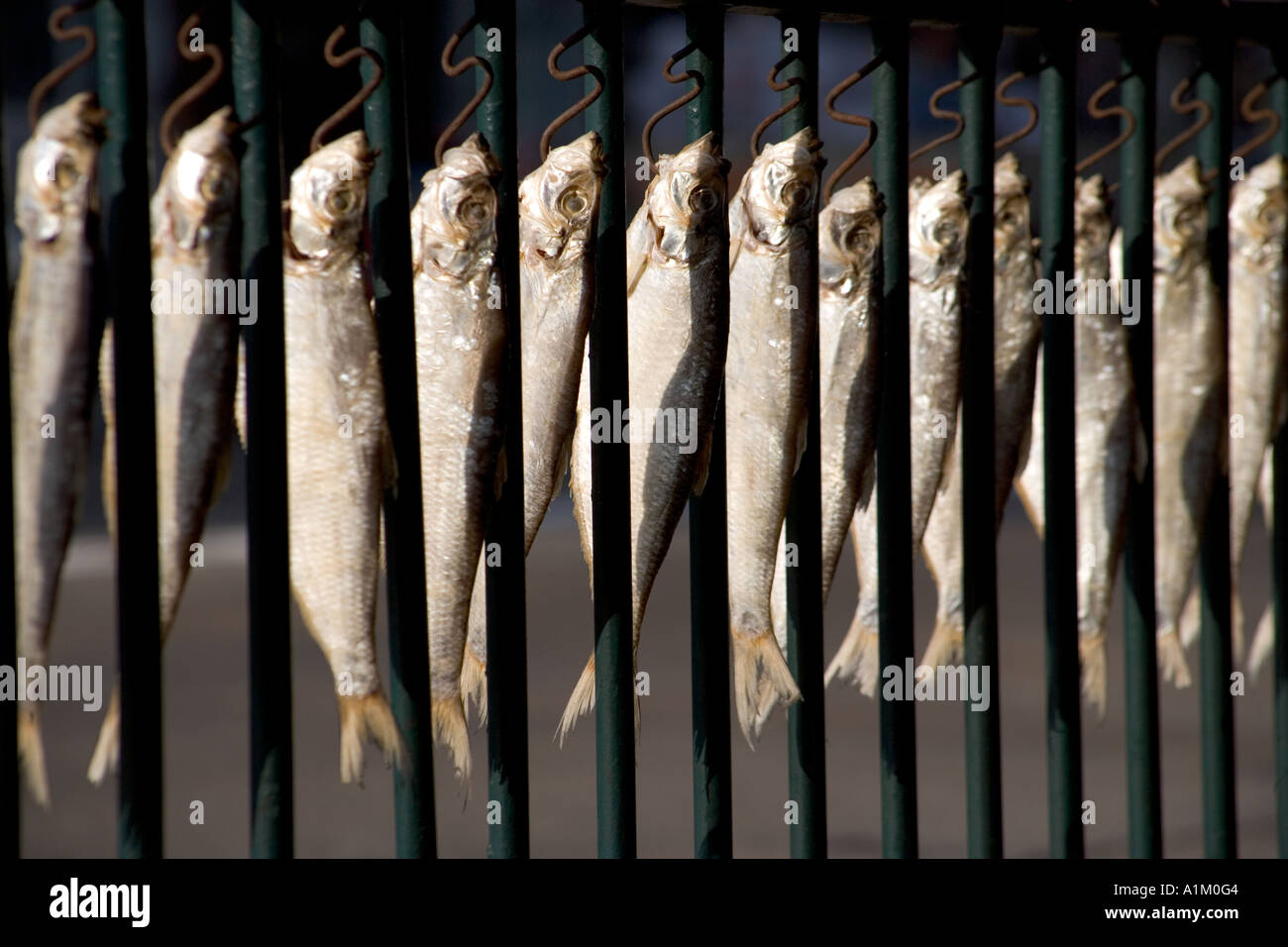 Dried Fish Display Macau Stock Photo - Alamy