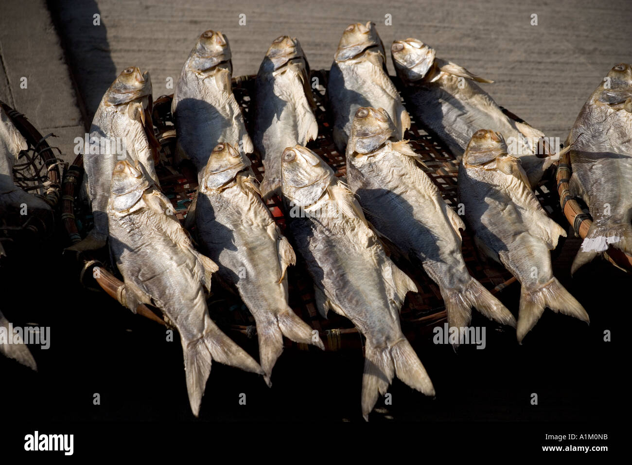 Macau Drying Fish Display Stock Photo - Alamy