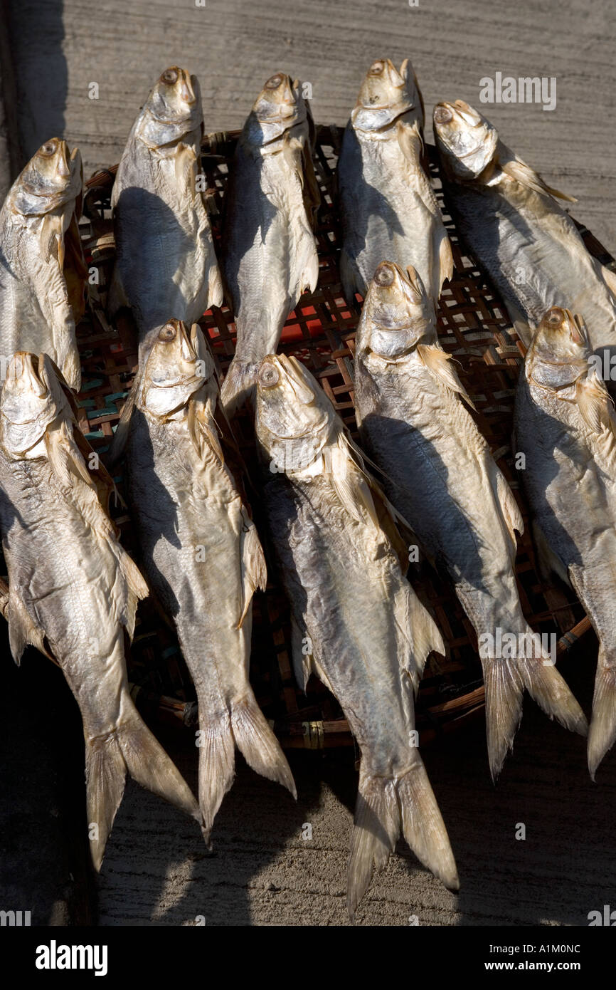 Dried Fish Display Macau Stock Photo - Alamy
