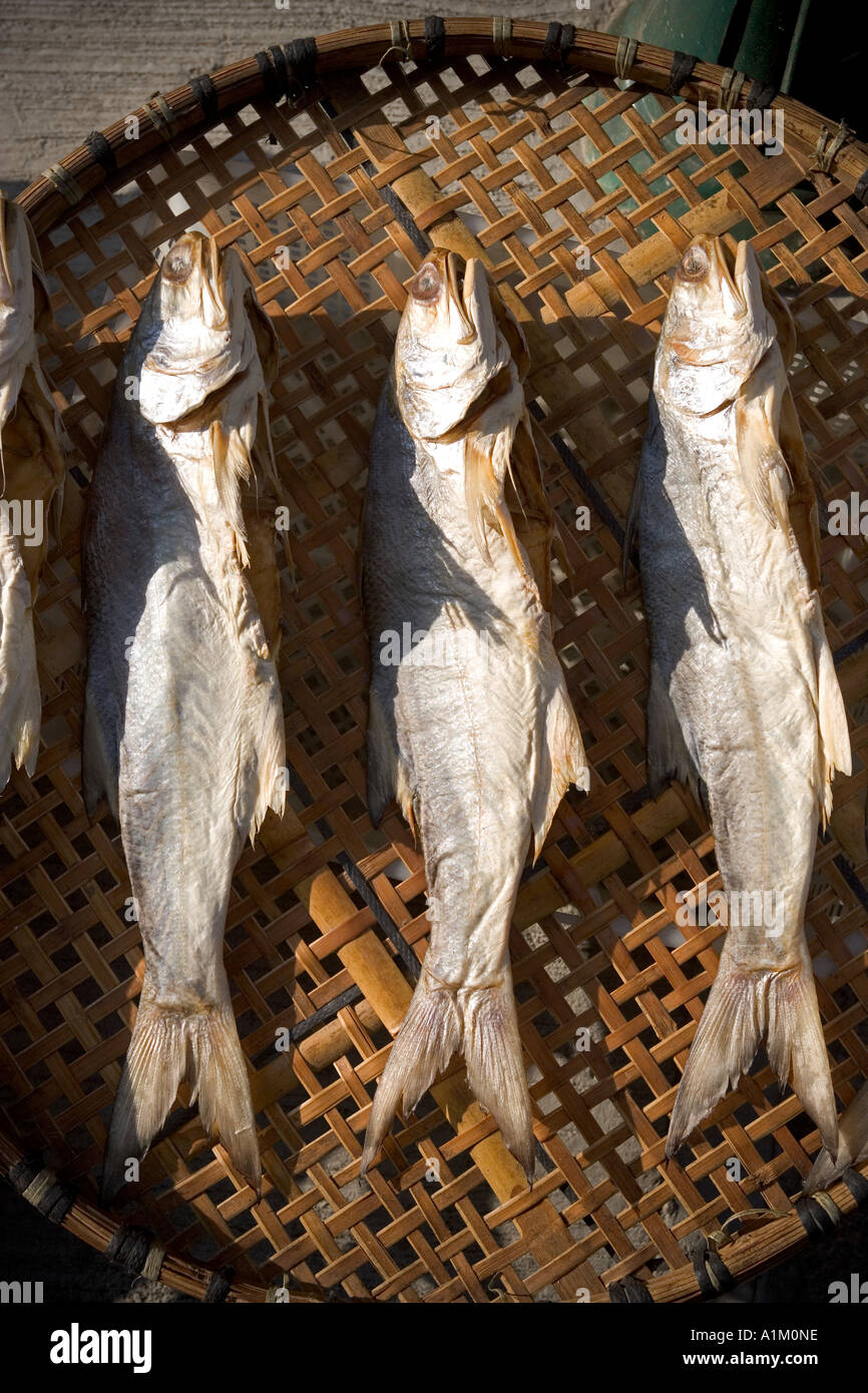 Drying Fish Display Macau Stock Photo - Alamy
