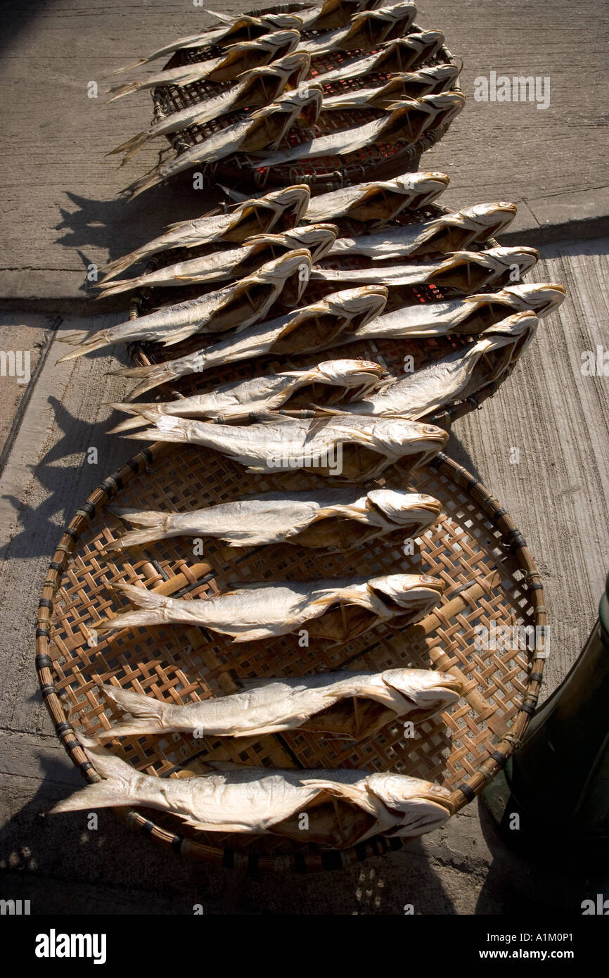 Drying Fish Display Macau Stock Photo - Alamy