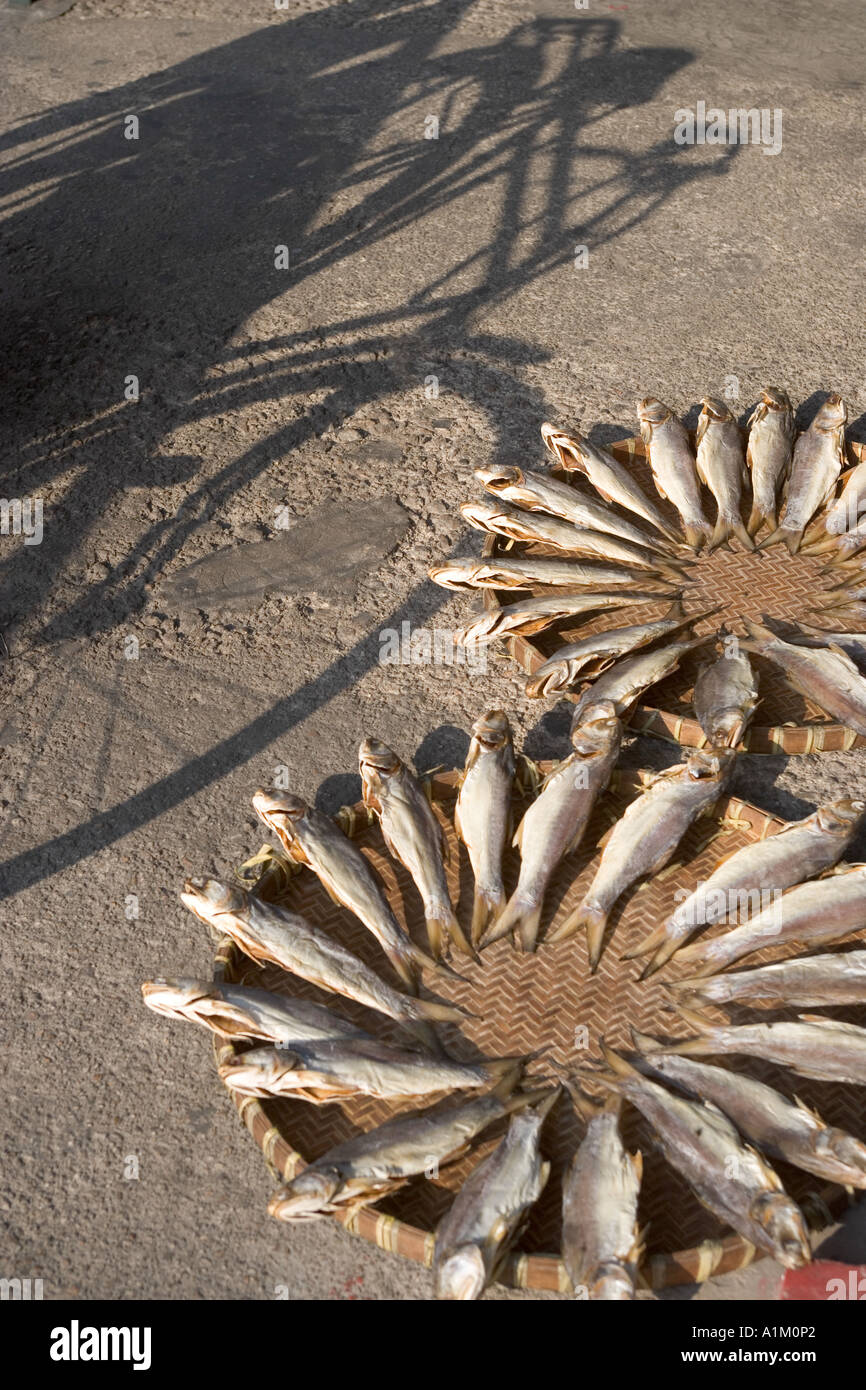 Drying Fish Display Macau Stock Photo - Alamy