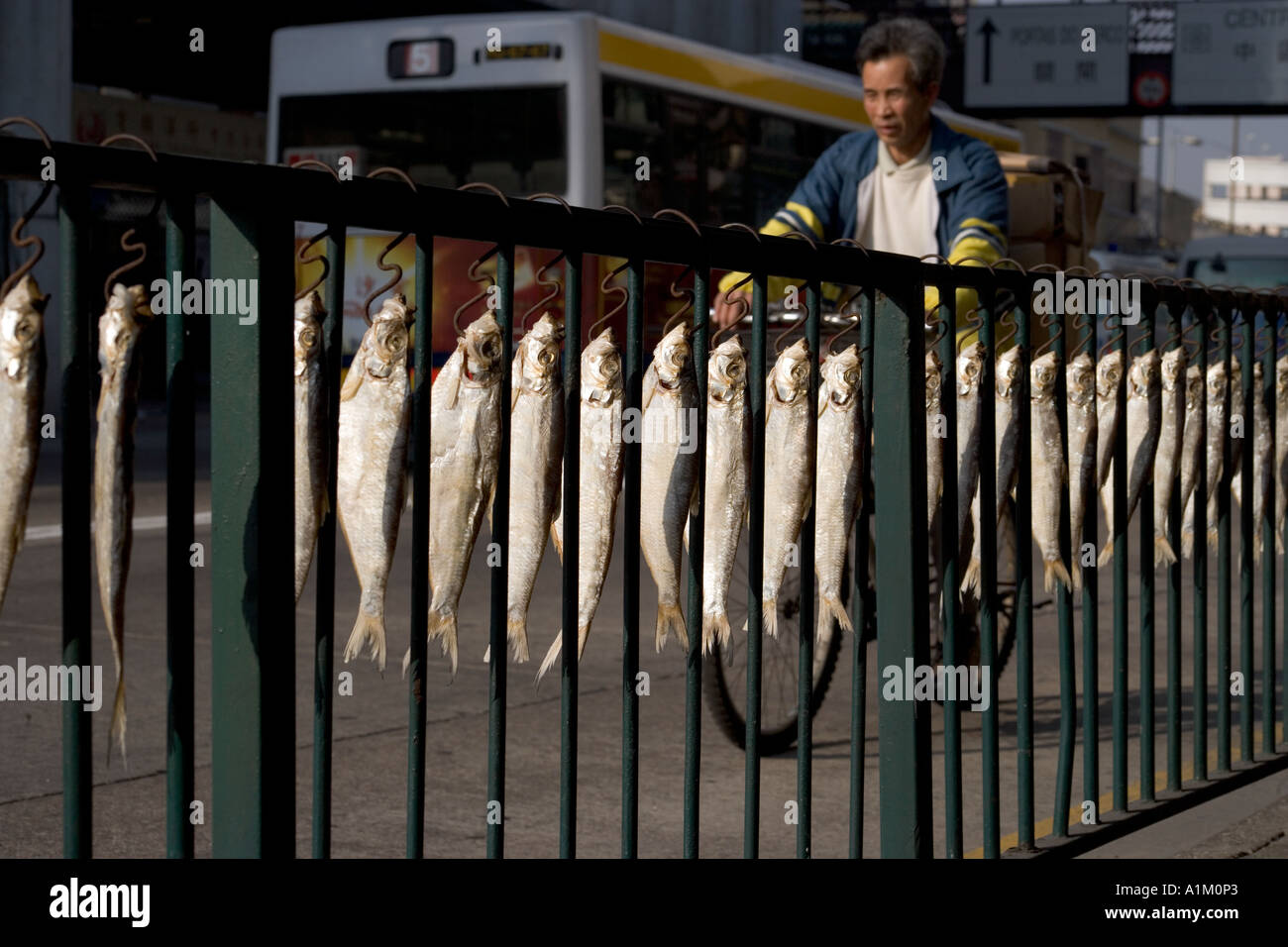 Drying Fish Display Macau Stock Photo - Alamy
