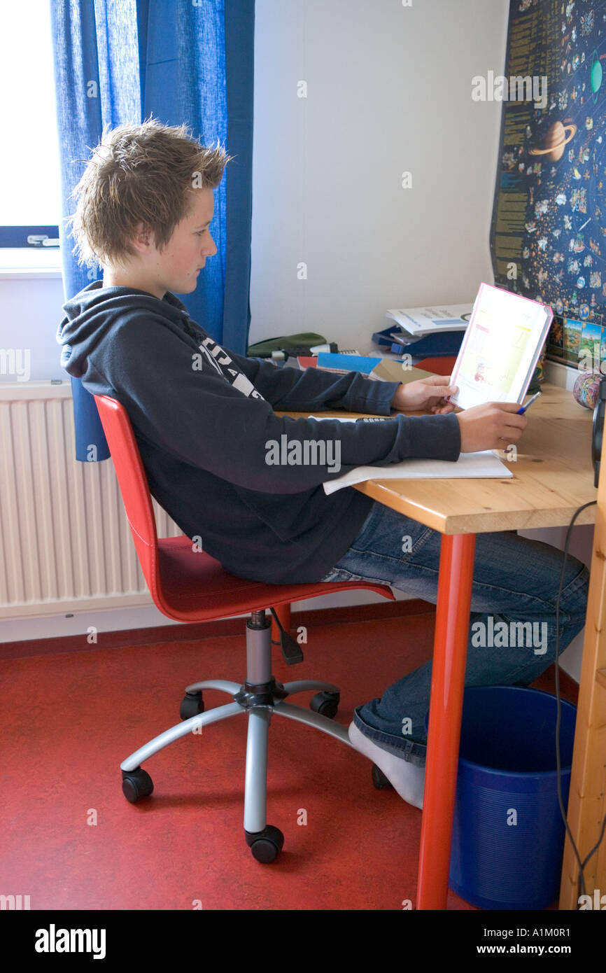 Teenage boy is making his homework Stock Photo - Alamy