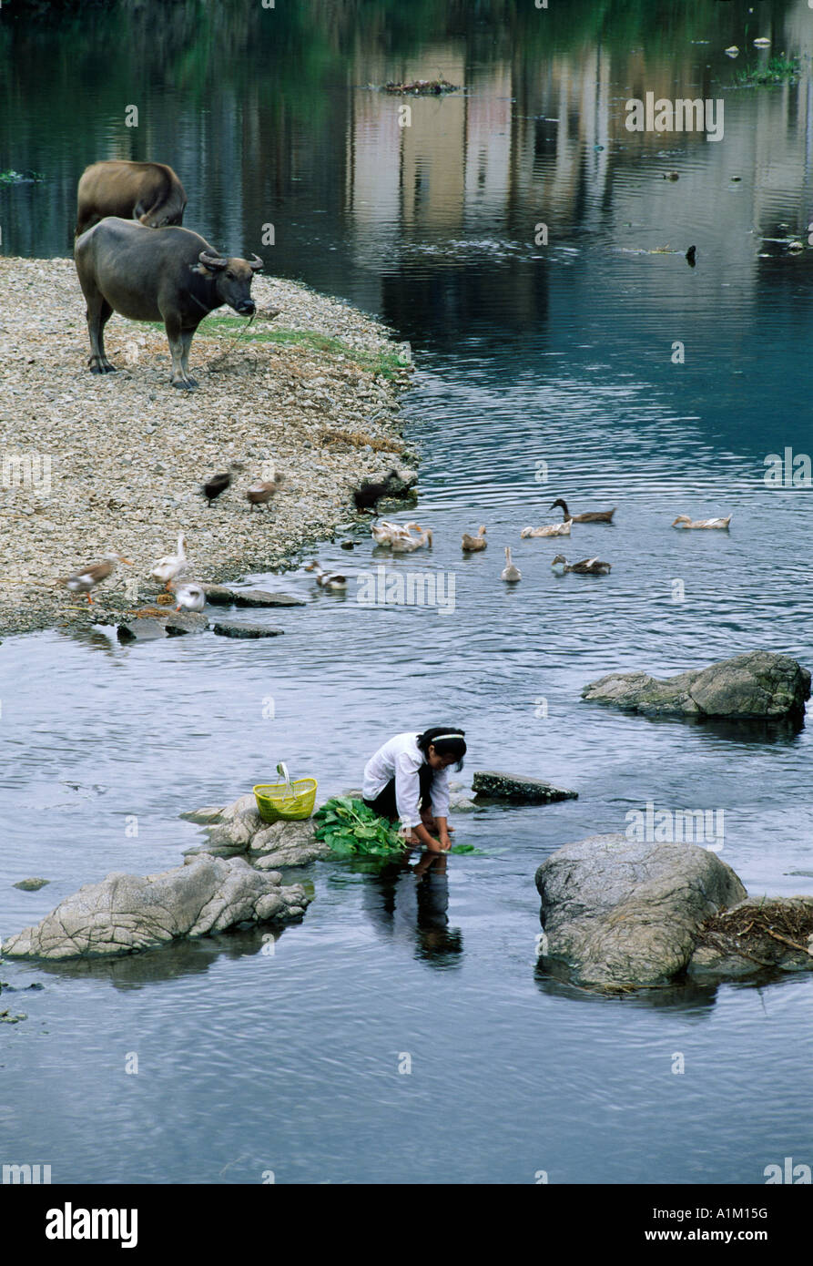 Woman washing vegetable by river Anhui Province China Stock Photo - Alamy
