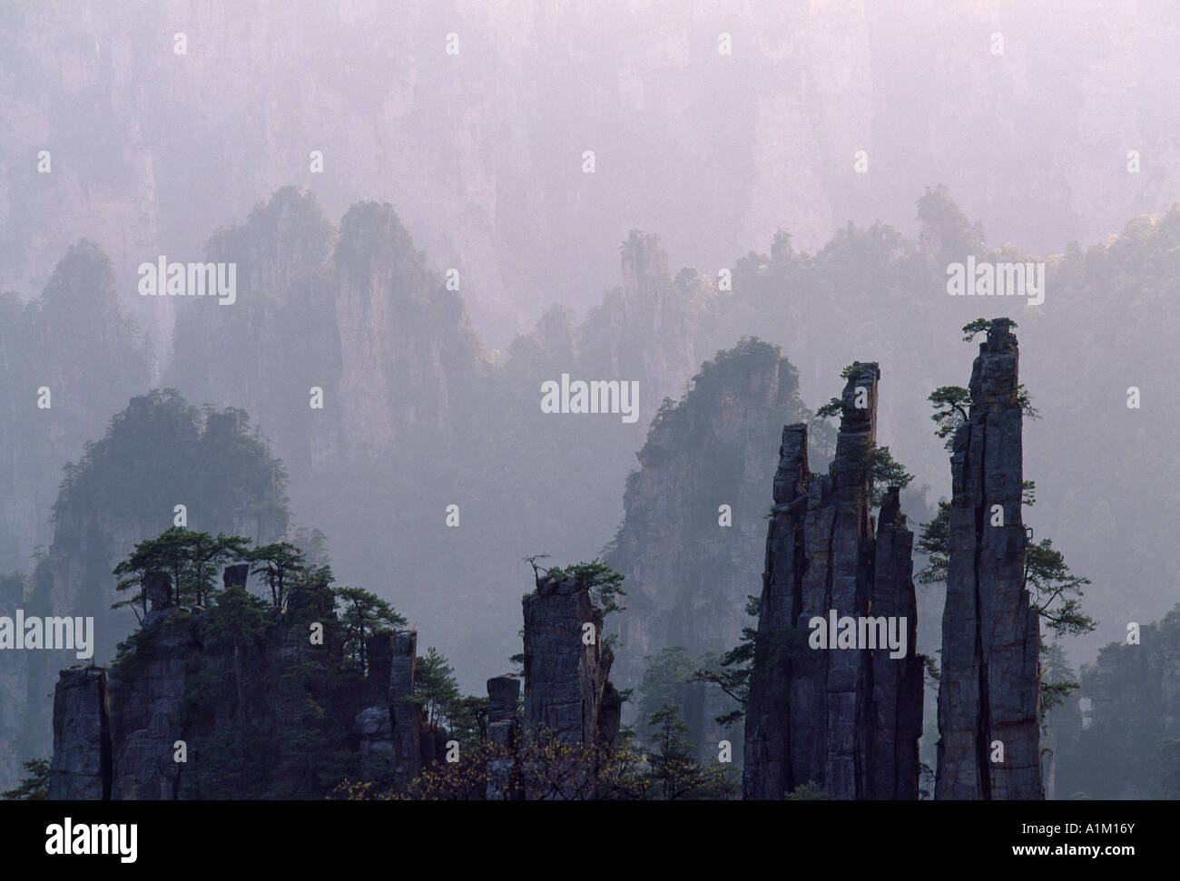 Mt Tian Zi (Heavenly Mountain) pillar cliffs in foliage Zhangjiajie ...