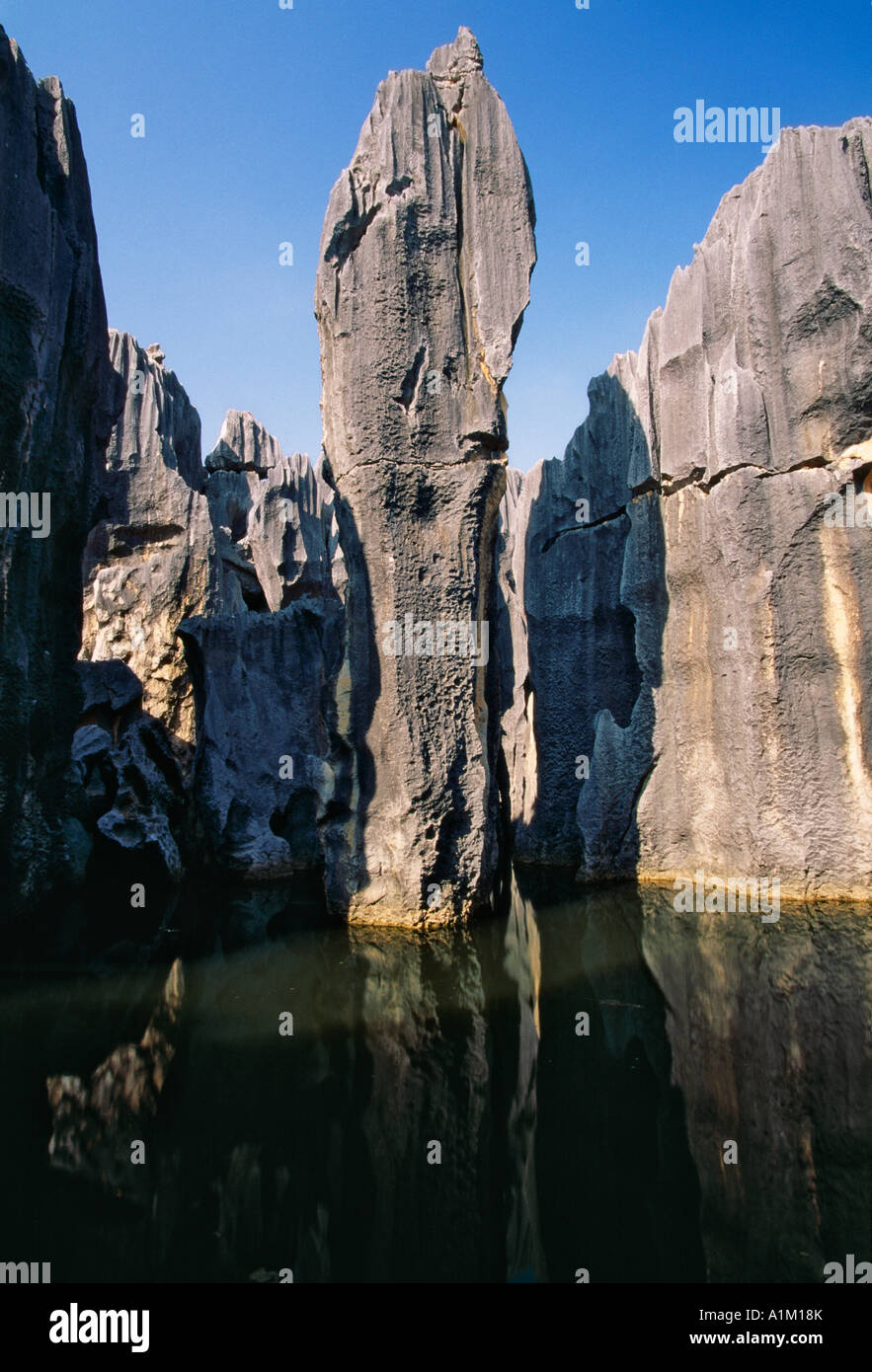 China Yunnan Stone Forest limestone pillars with water Stock Photo - Alamy