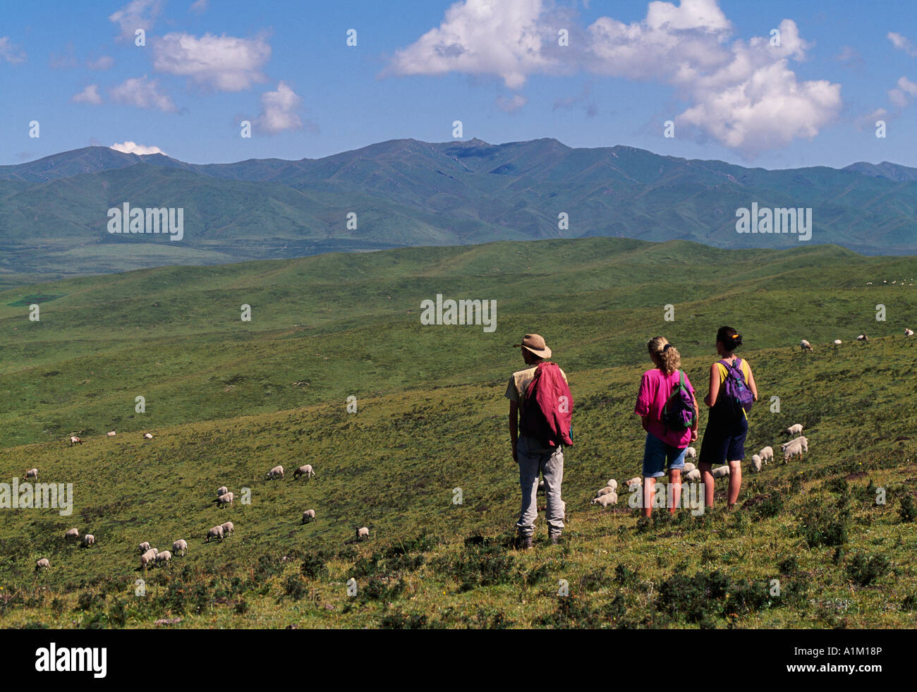 China Gansu Province Xiahe western travelers on grassland Stock Photo ...