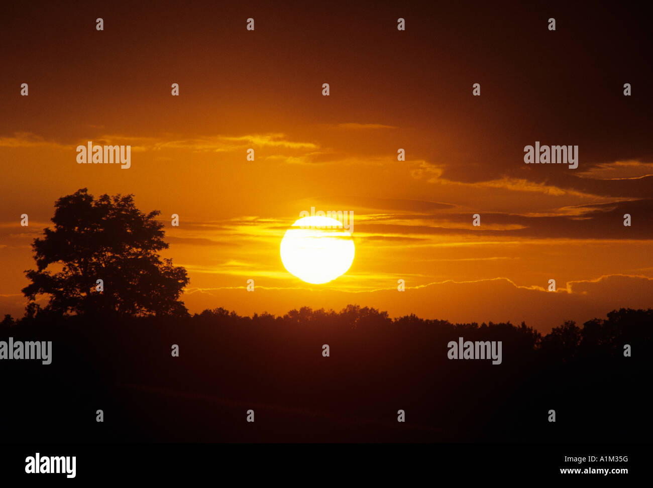 Goodbye wonderful trees hi-res stock photography and images - Alamy