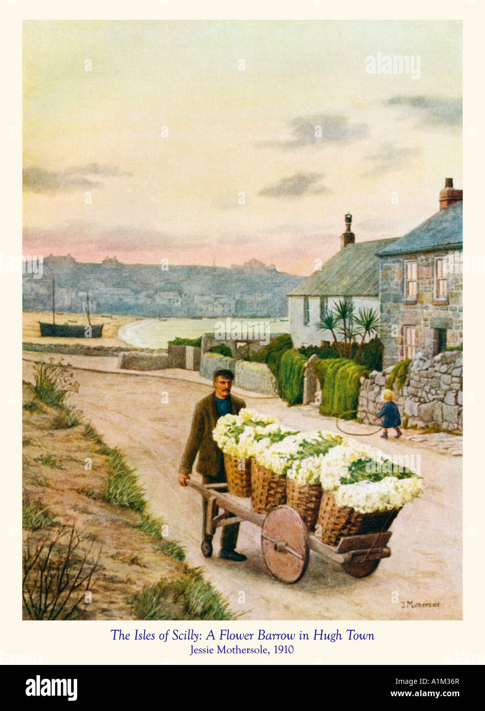 Scilly Flower Barrow Hugh Town Edwardian watercolour of the work of ...