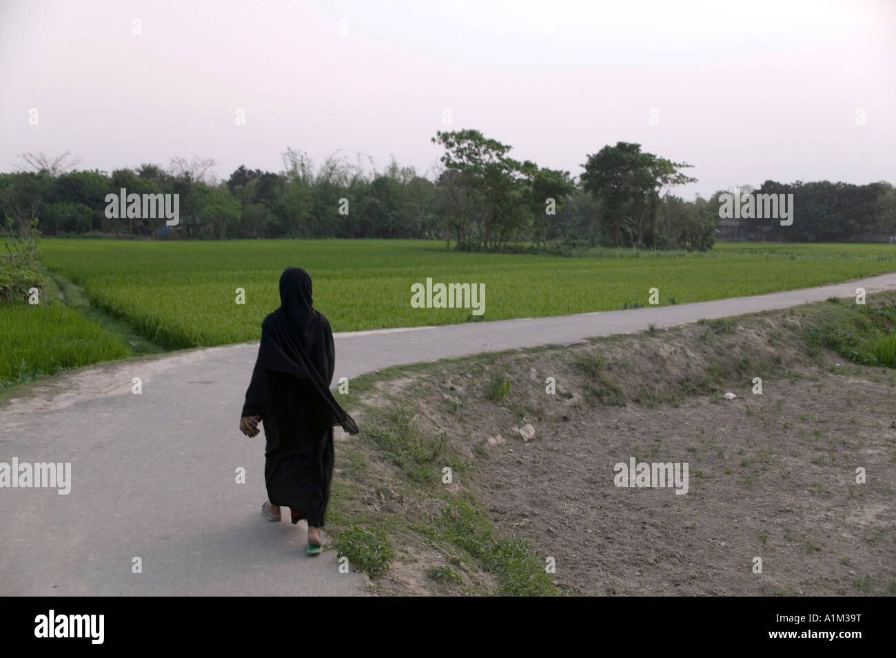 A woman walking alone down a country road in rural Bangladesh Stock ...
