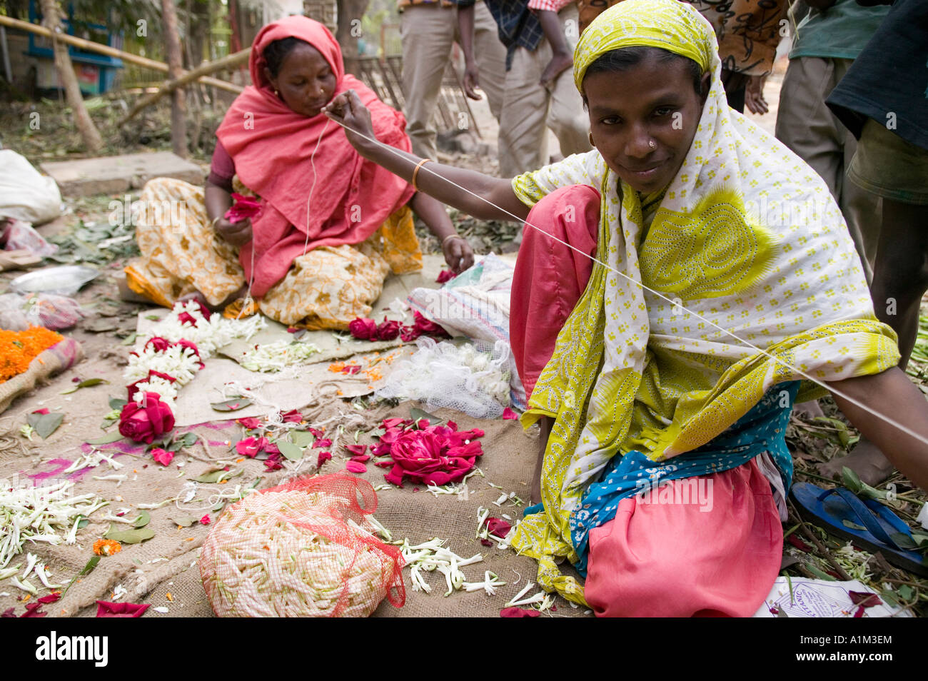 Flowers of bangladesh hi-res stock photography and images - Alamy