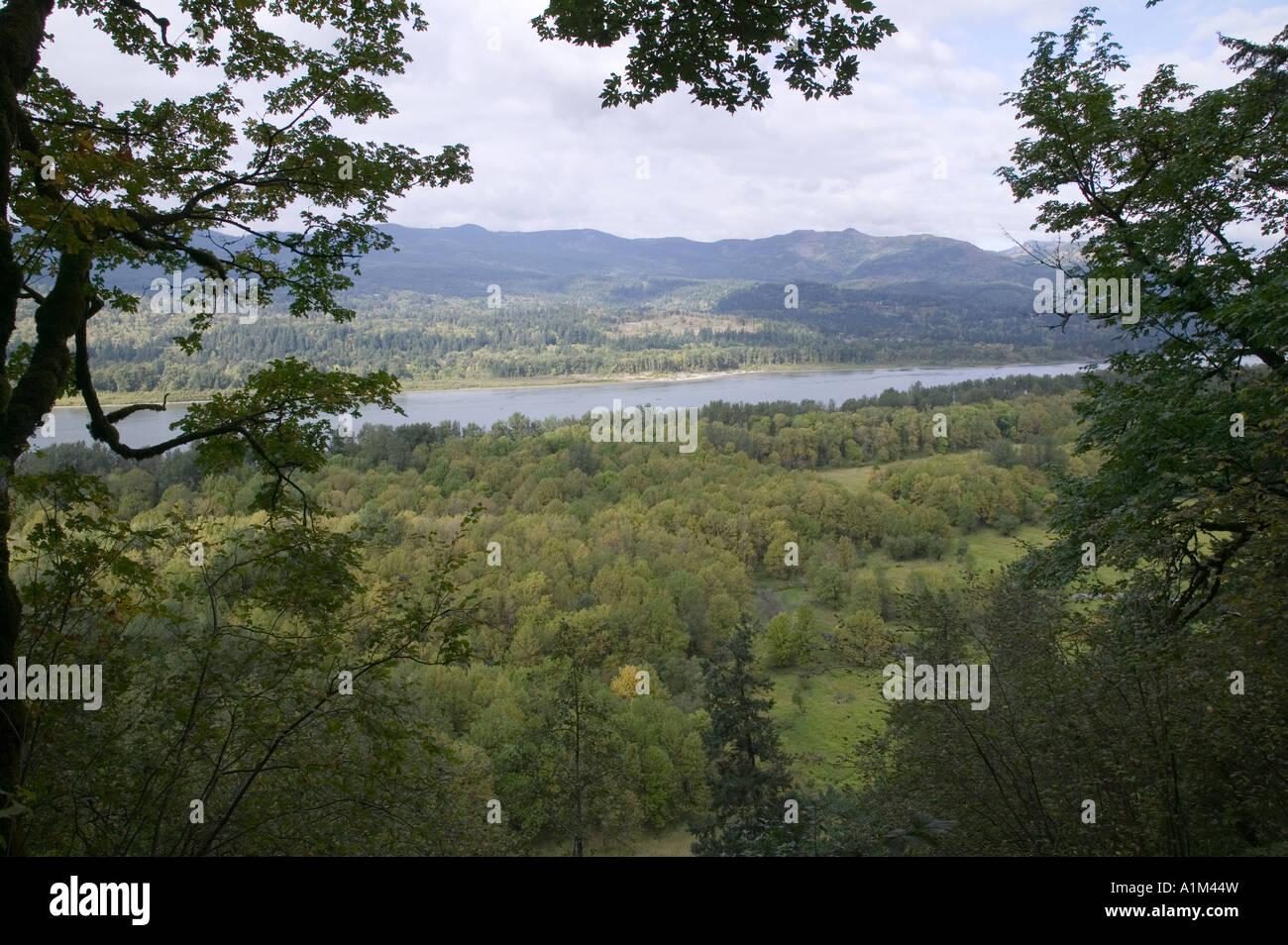 Landscape view of the Columbia River valley in Oregon Northwest United ...