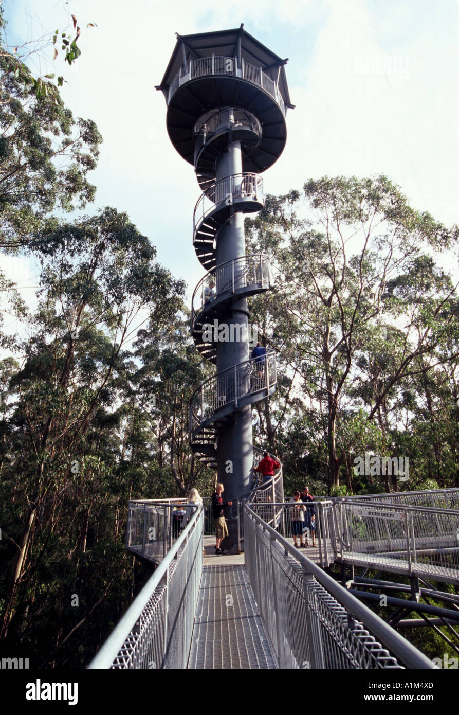 Observation tower at the Otway Fly Center, Australia. March 2005 Stock ...