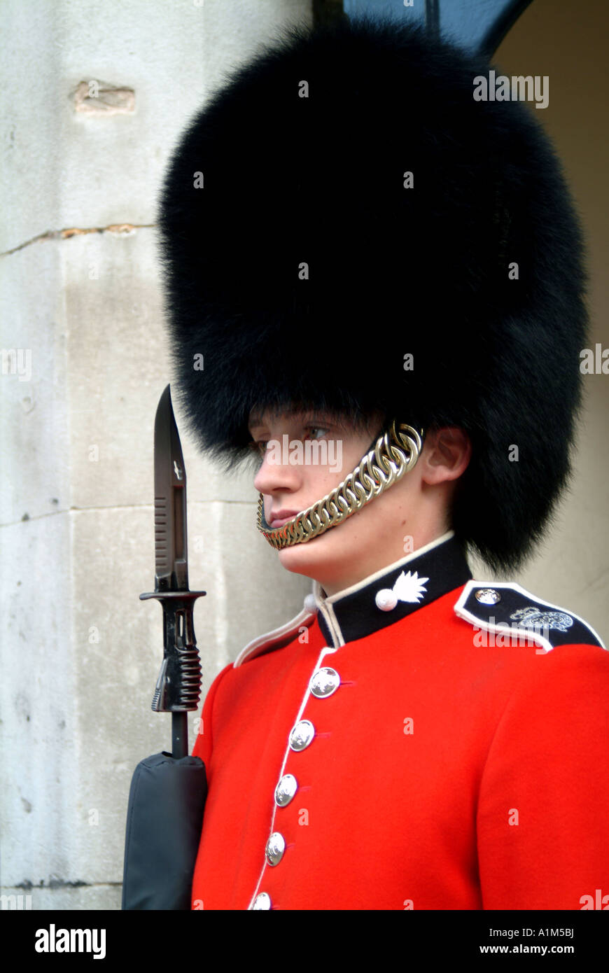 Guardsman on duty at St James s Palace, London Stock Photo - Alamy