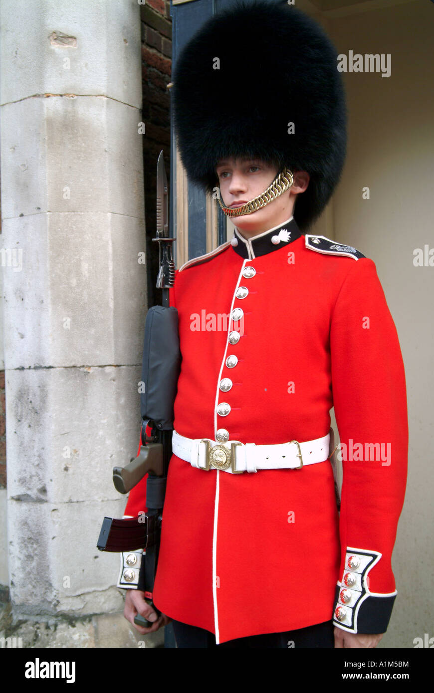 Guardsman on duty at St James s Palace, London Stock Photo - Alamy