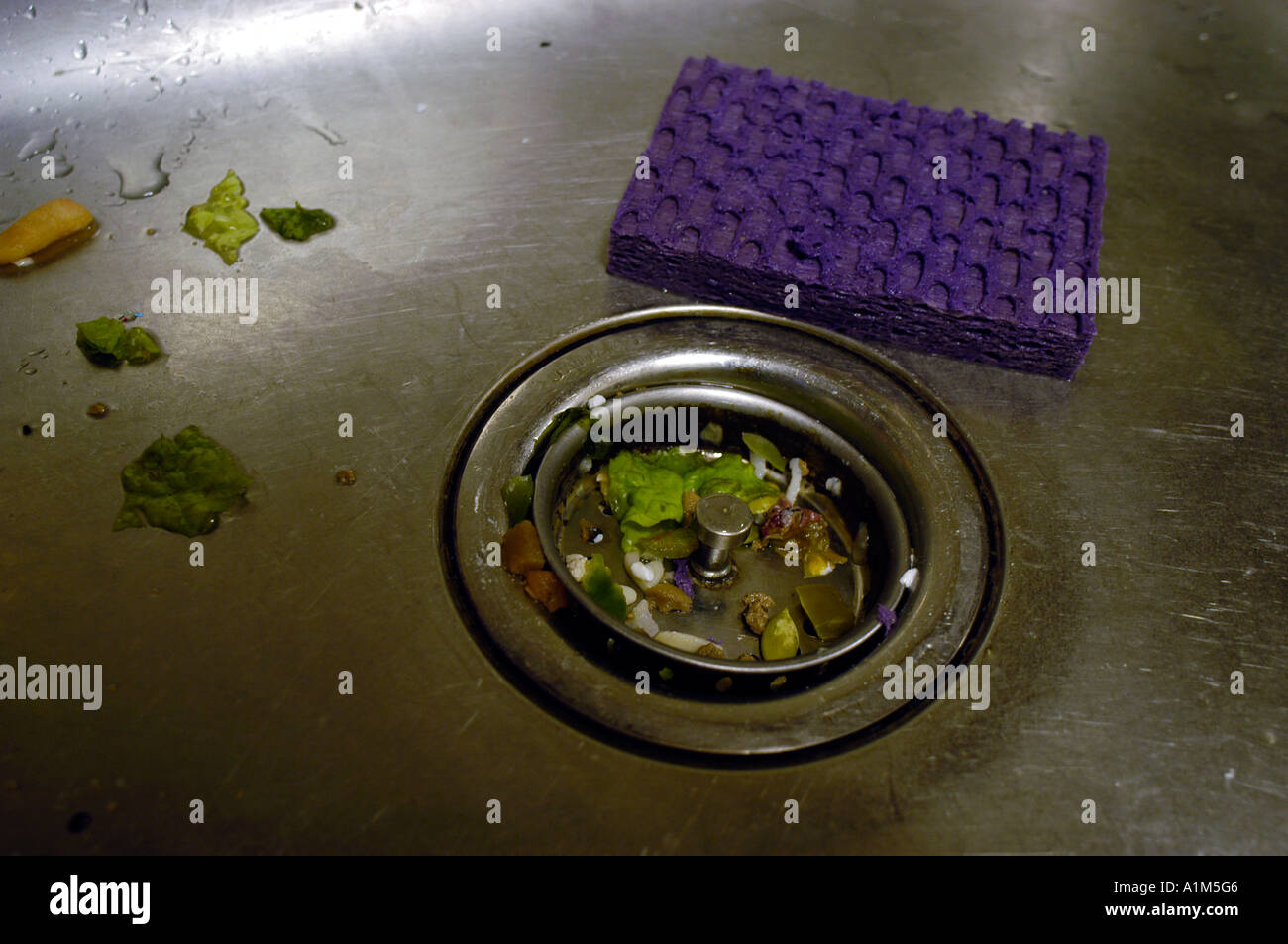 Bacteria infested hi-res stock photography and images - Alamy