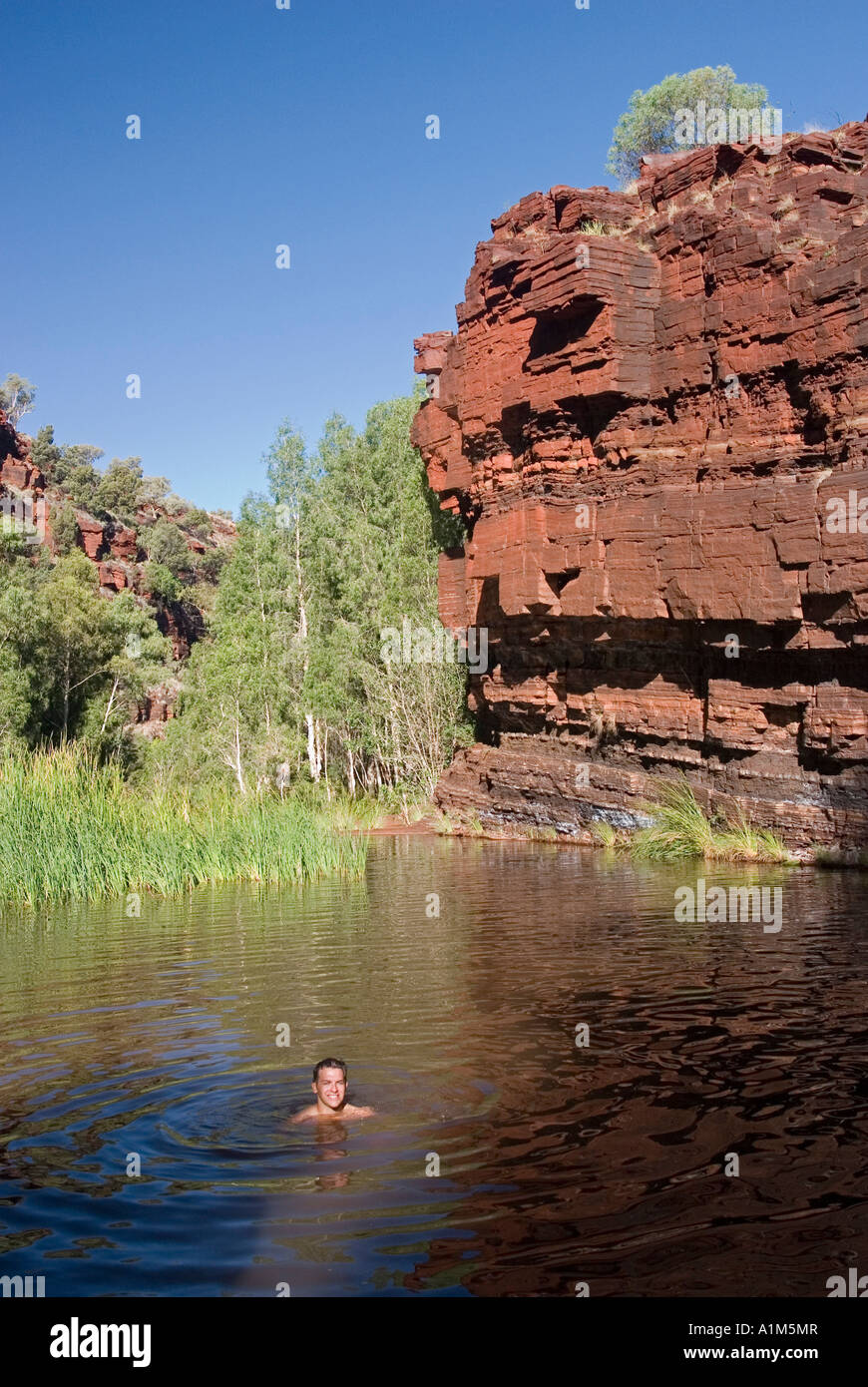 Fern Pool, Karijini National Park, Western Asutralia, Australia Stock ...