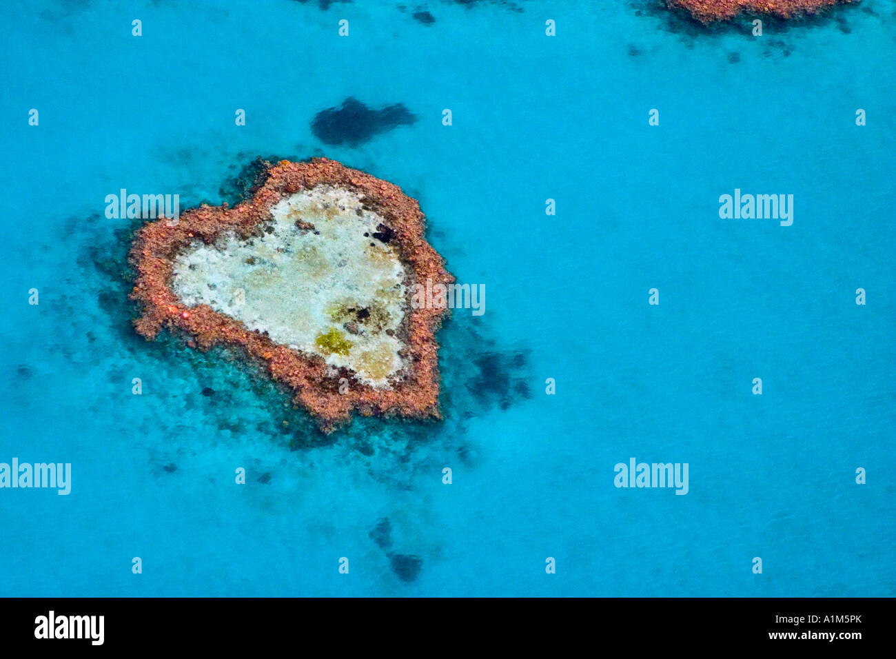An aerial view of Heart Reef, Great Barrier Reef, Queensland, Australia ...