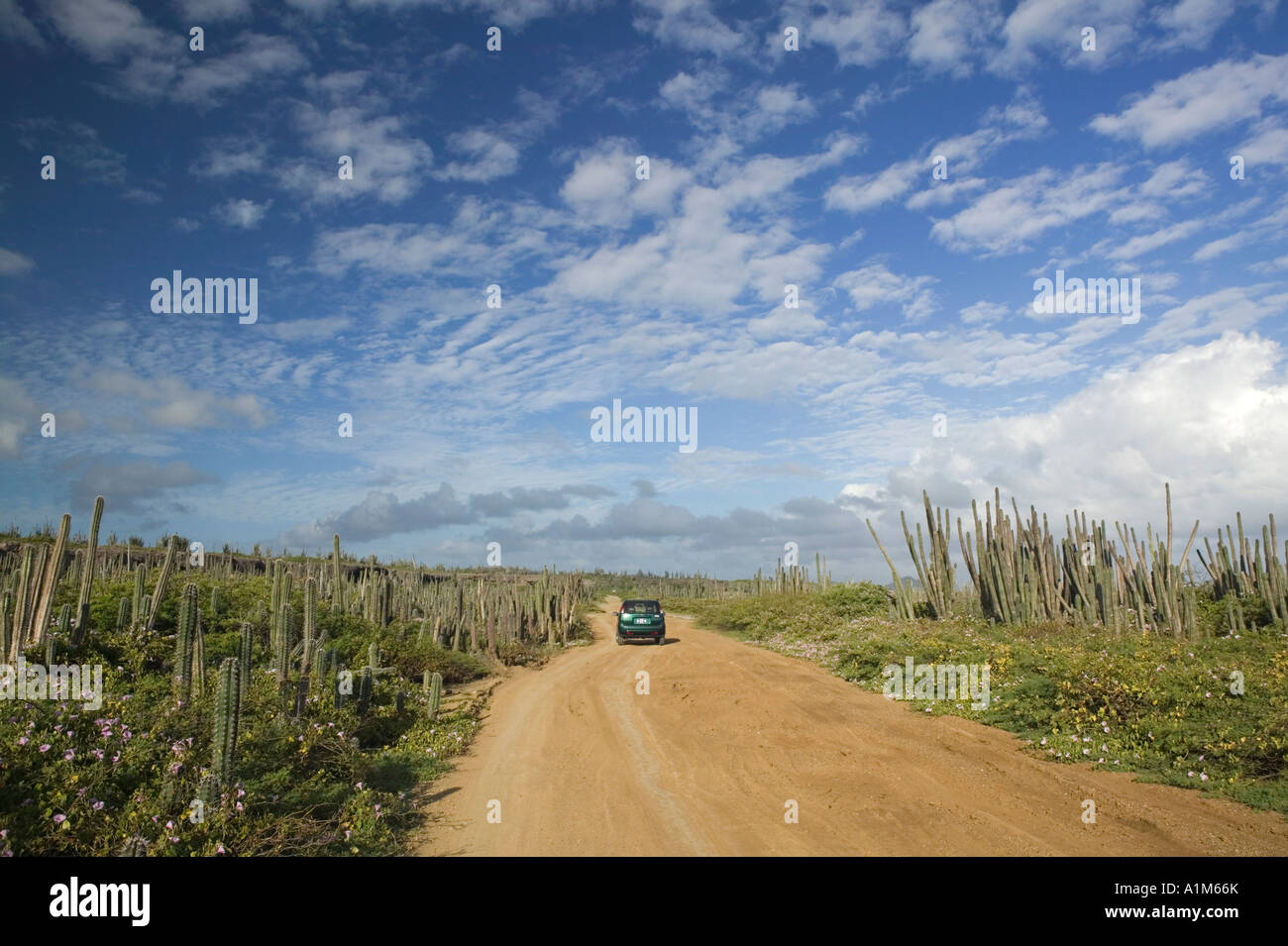 Bonnaire hi-res stock photography and images - Alamy