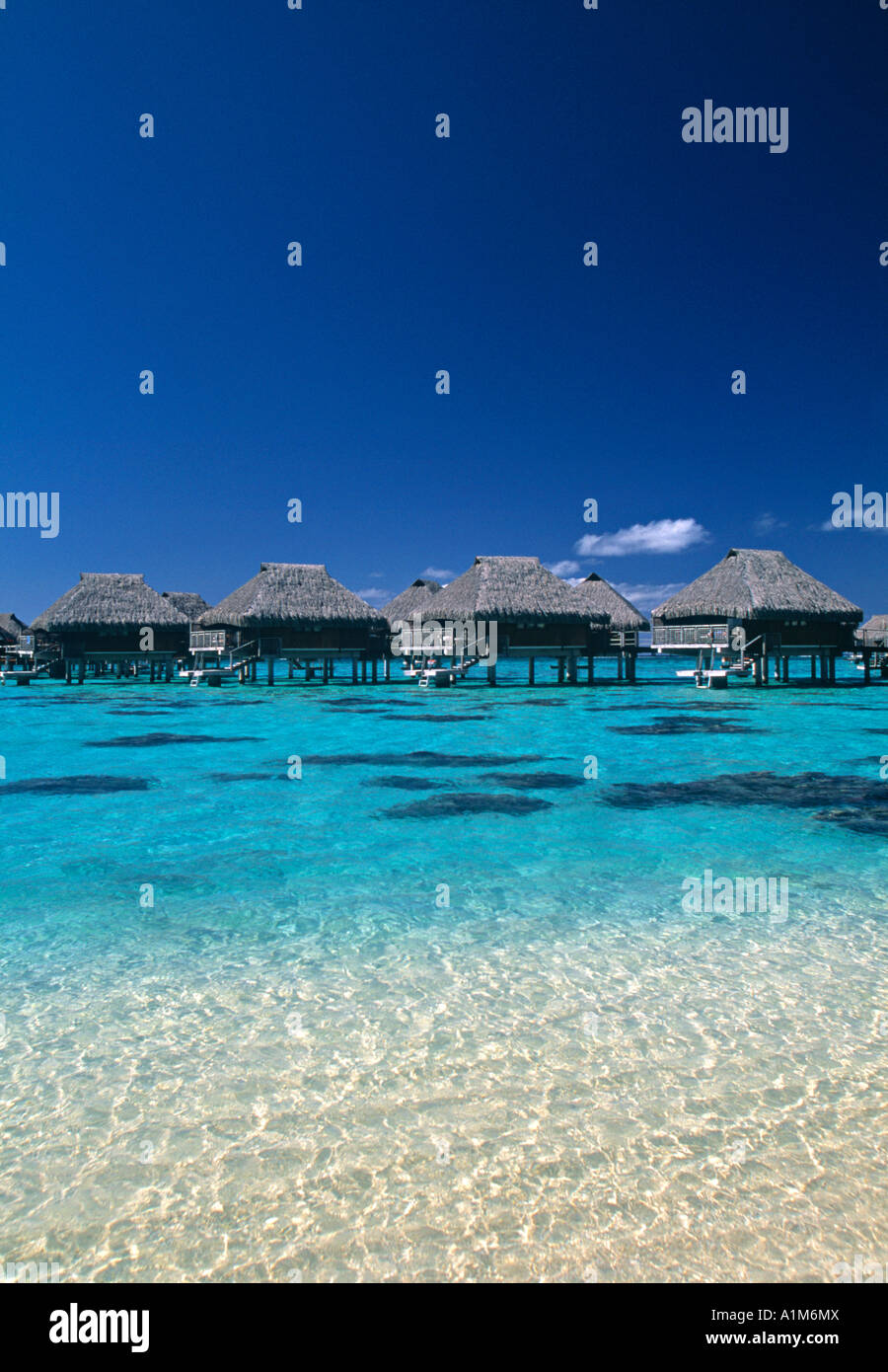 Beach Huts, Moorea, French Polynesia Stock Photo - Alamy