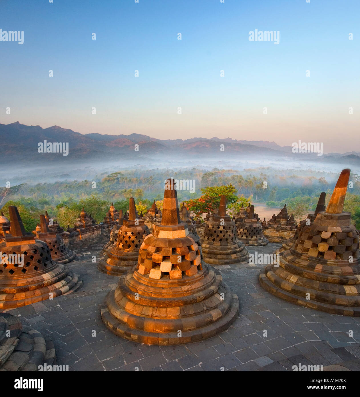 Stupas and Buddhas of Borobudur, Java, Indonesia Stock Photo - Alamy