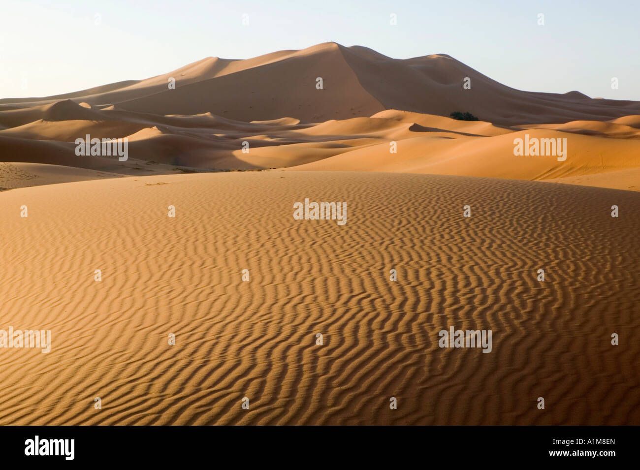 Tafilalt hi-res stock photography and images - Alamy