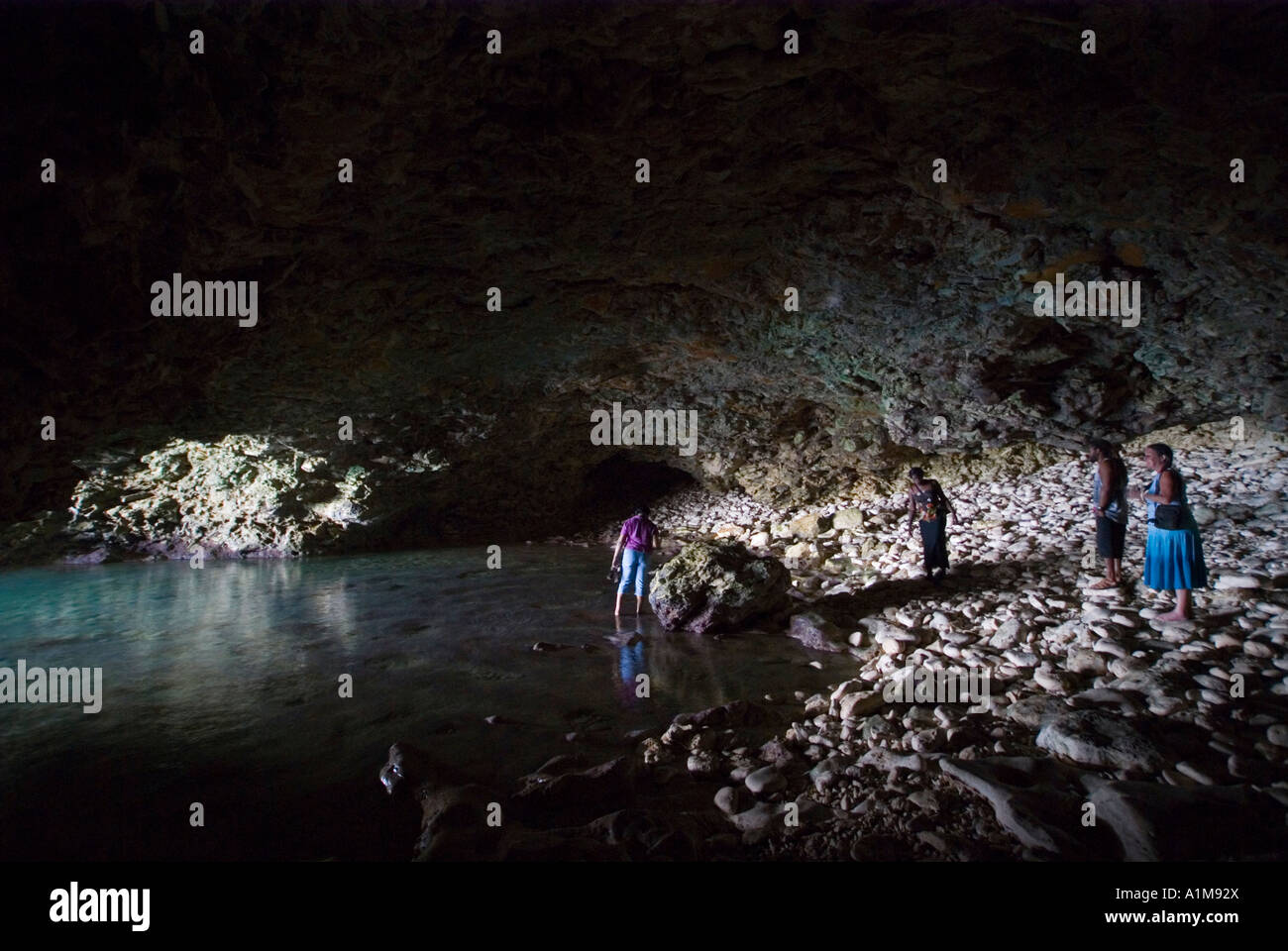 Barbados Animal Flower Cave sea cave with anemones bathing pool and ...