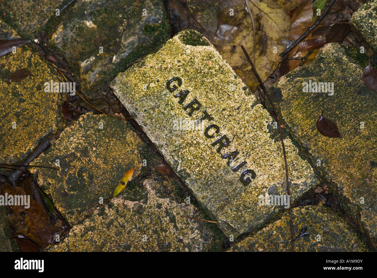 Barbados - British bricks sent to the island as ballast 200 and more ...