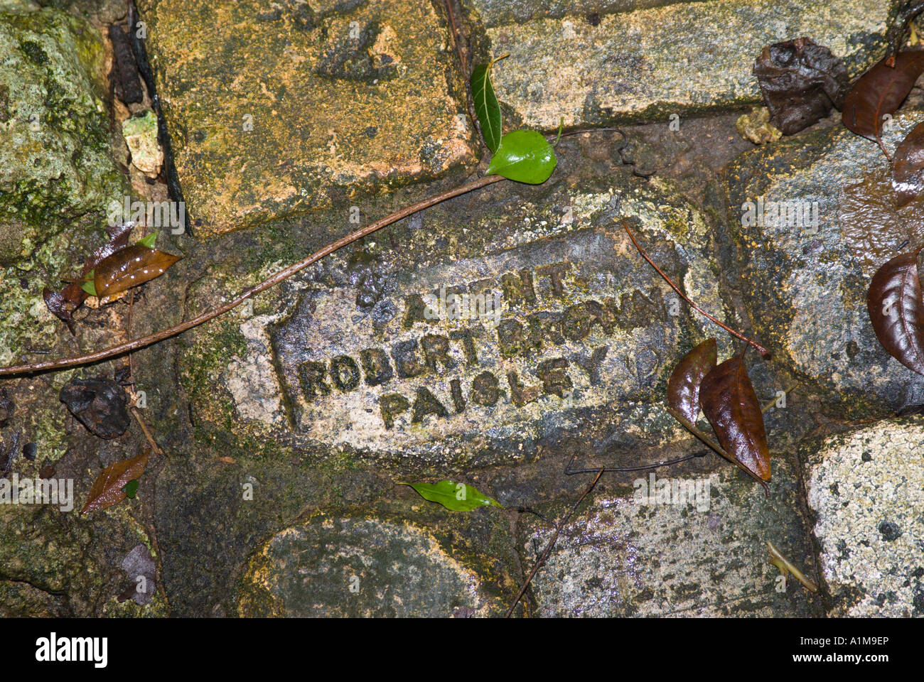 Barbados - British bricks sent to the island as ballast 200 and more ...
