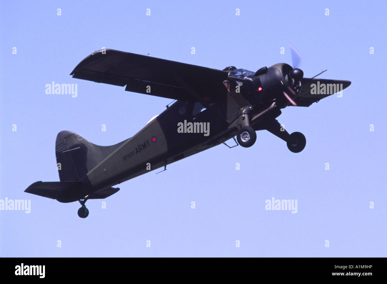 De Havilland Canada Beaver AL1 operated by the Army Air Corps taking ...