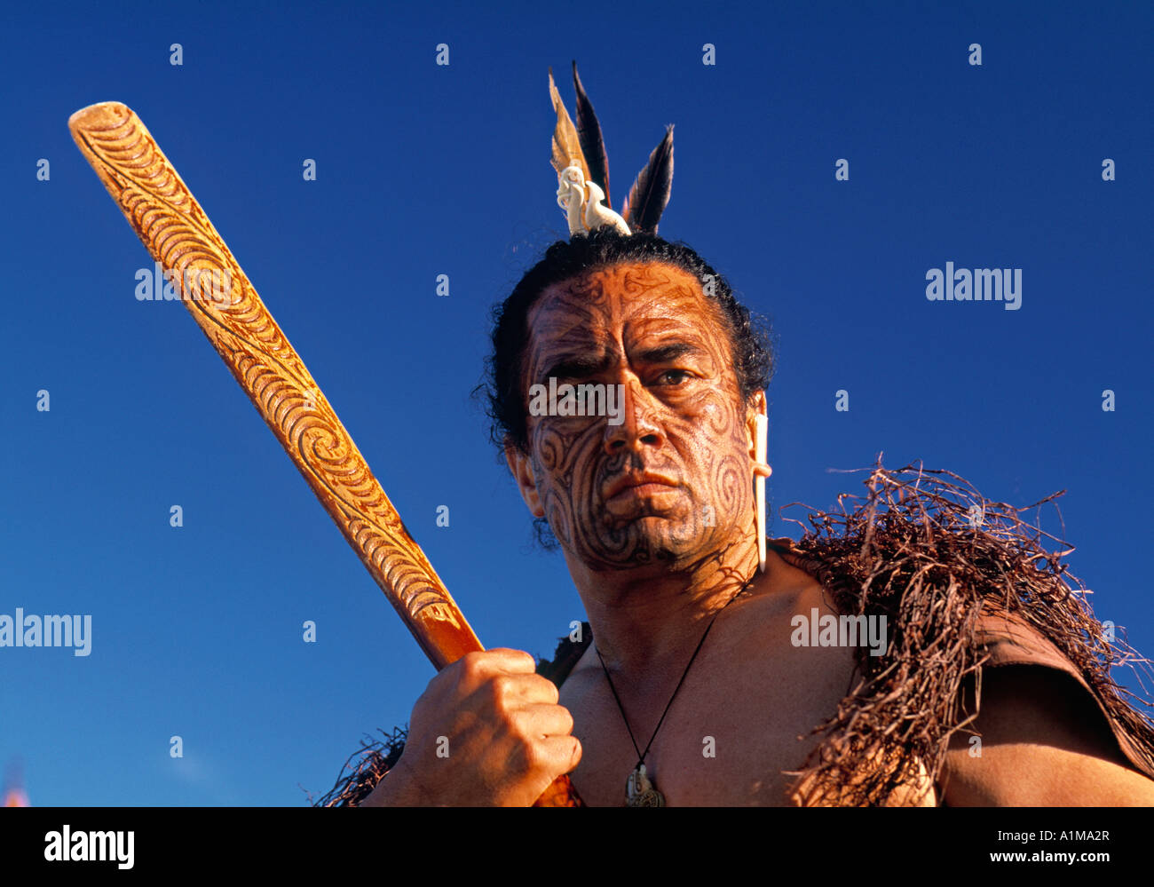 Maori people of new zealand hi-res stock photography and images - Alamy