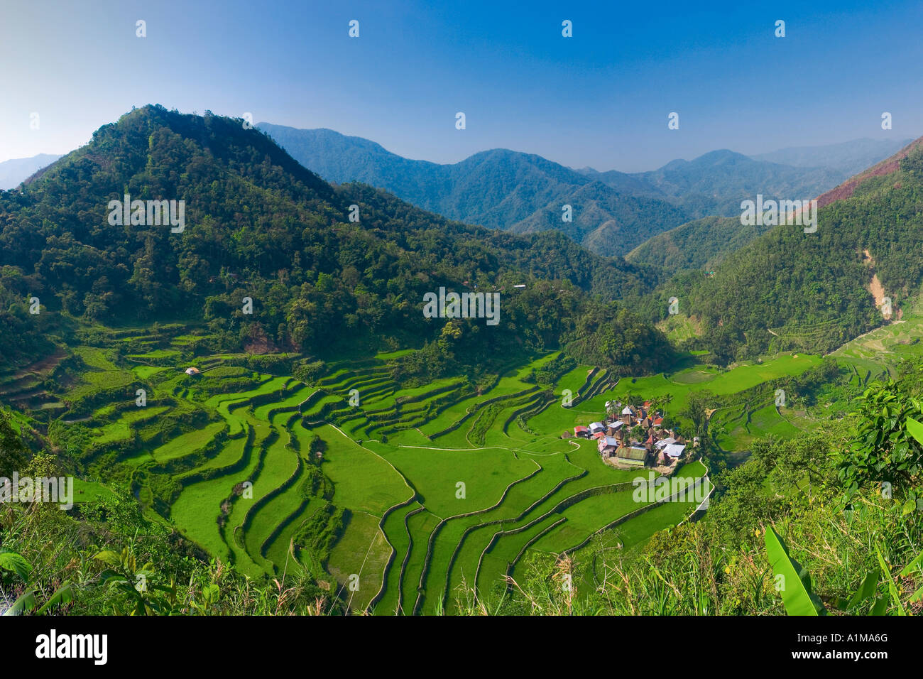 Rice terraces of Bangaan at Banaue, Luzon Island, Philippines Stock ...