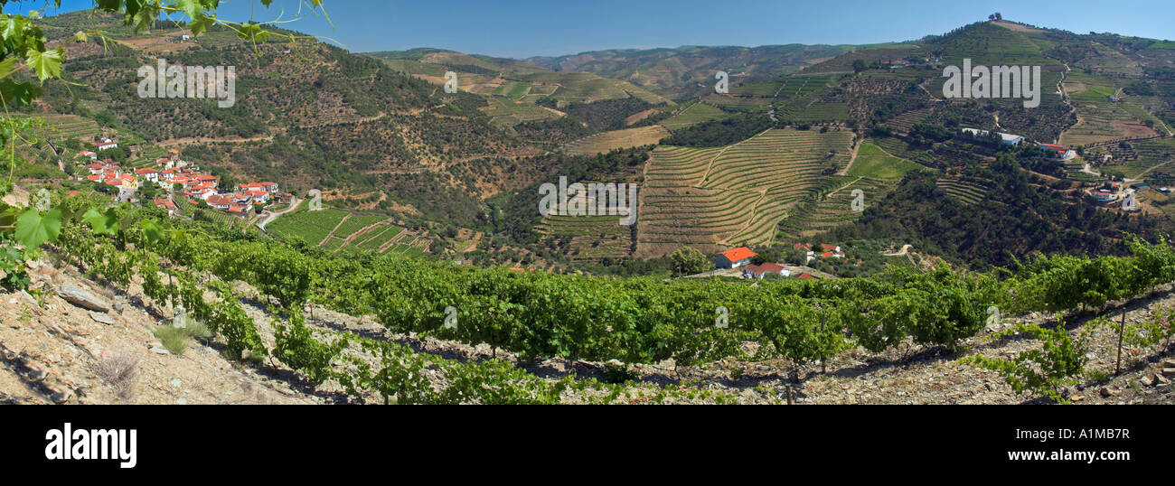 Vineyards near sabrosa douro region hi-res stock photography and images ...