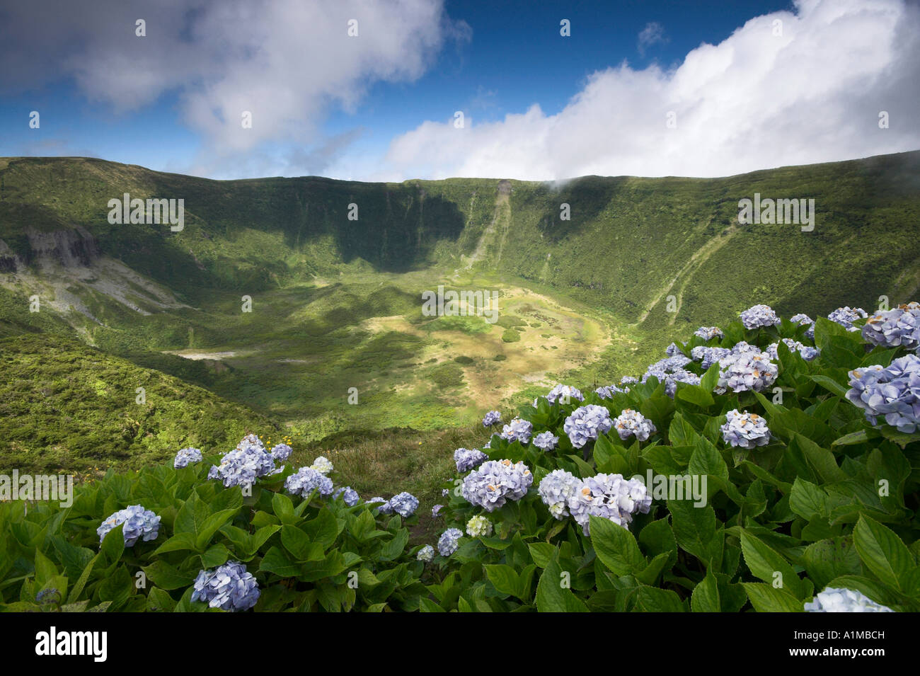 Volcanic crater, Reserva Natural da Caldeira do Faial, Faial Island ...