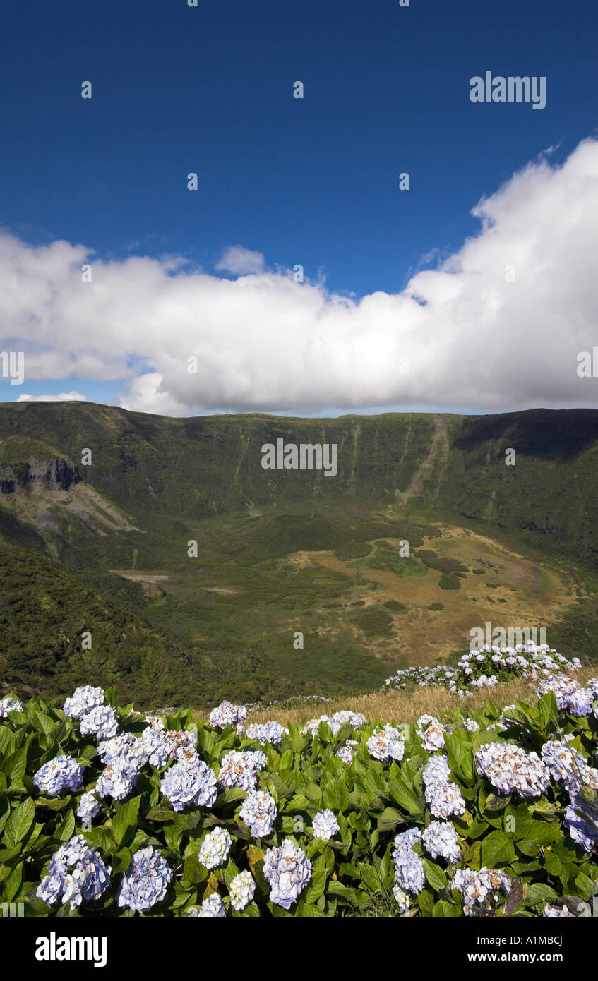 Volcanic crater, Reserva Natural da Caldeira do Faial, Faial Island ...