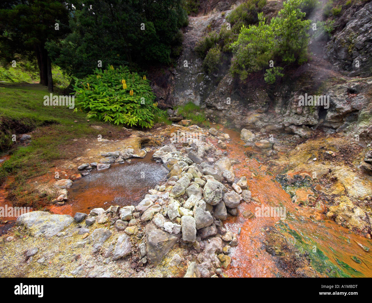 Hot Springs, Furnas, Sao Miguel Island, Azores, Portugal Stock Photo ...