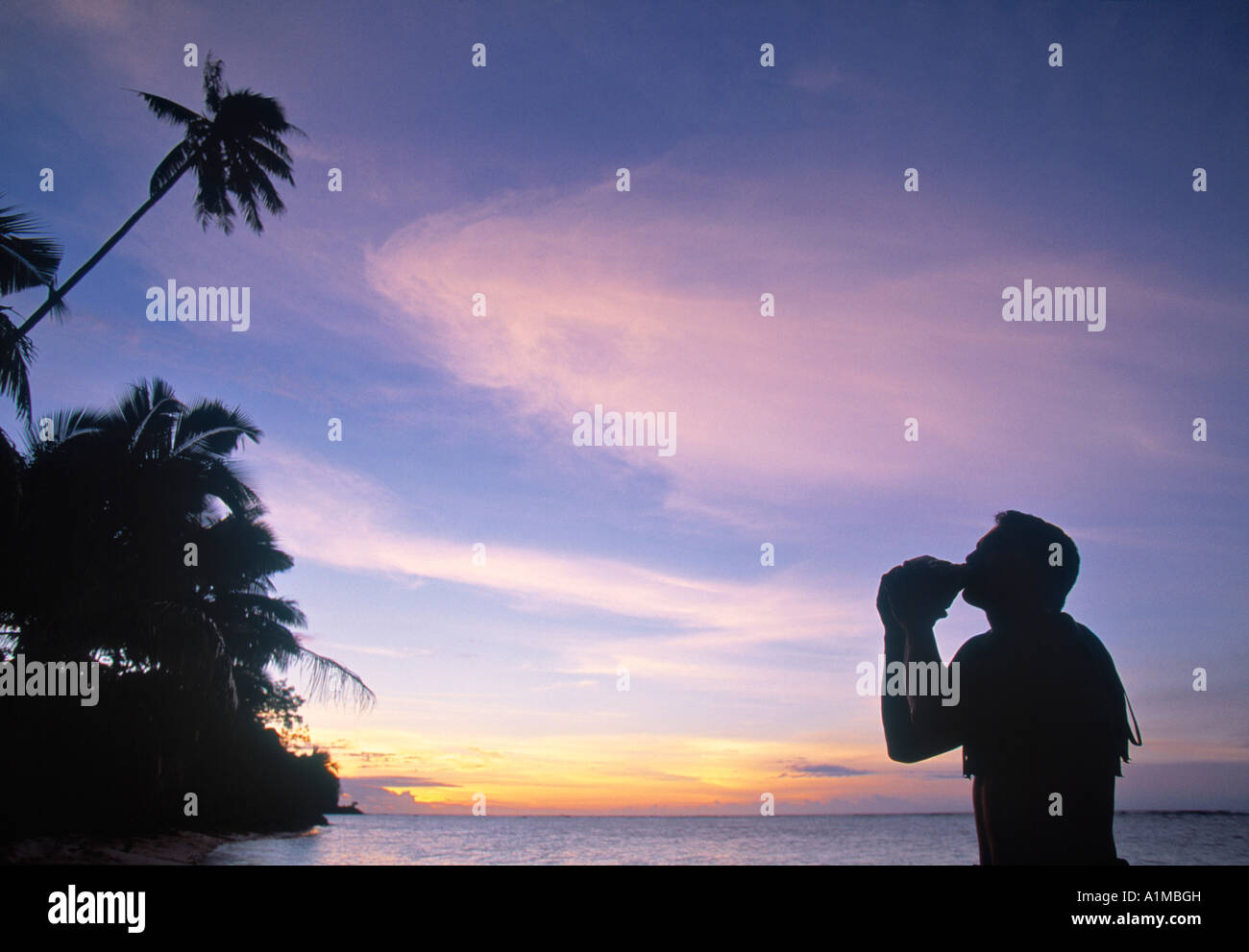 Man blowing into a seashell, Samoa Stock Photo - Alamy