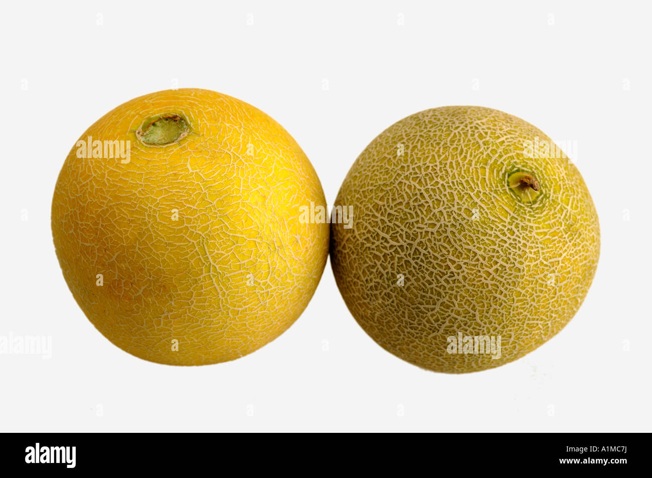 HMA210022 Fruit two Melon Cucumis melo white background Stock Photo - Alamy