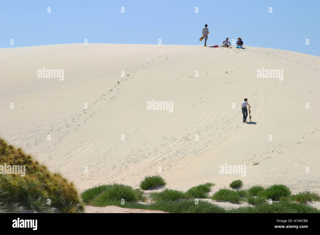 Sand boarding Point Gibbon sand hillsCowell South Australia Stock Photo ...