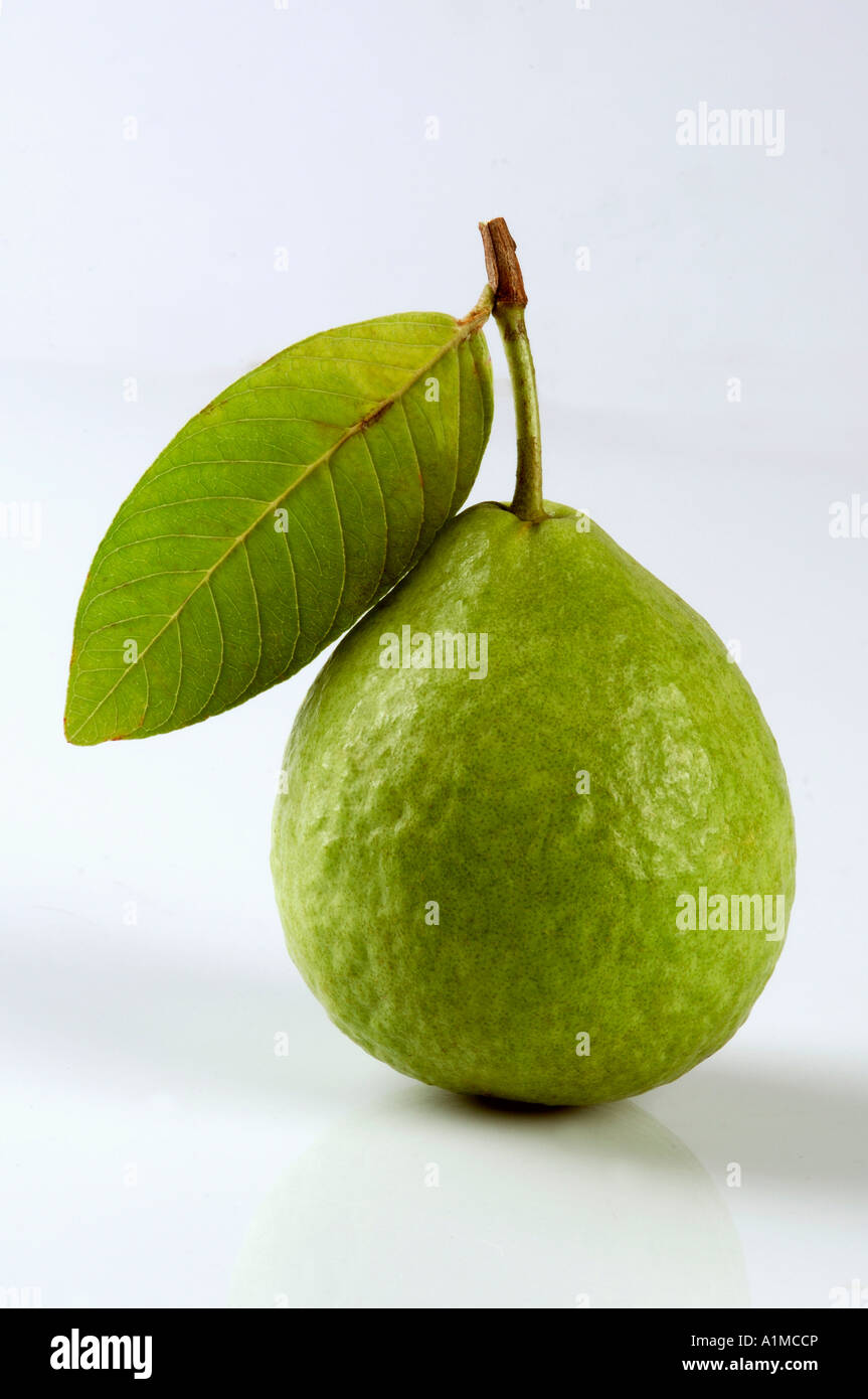 One Green Guava fruit with leaf on white background Stock Photo - Alamy