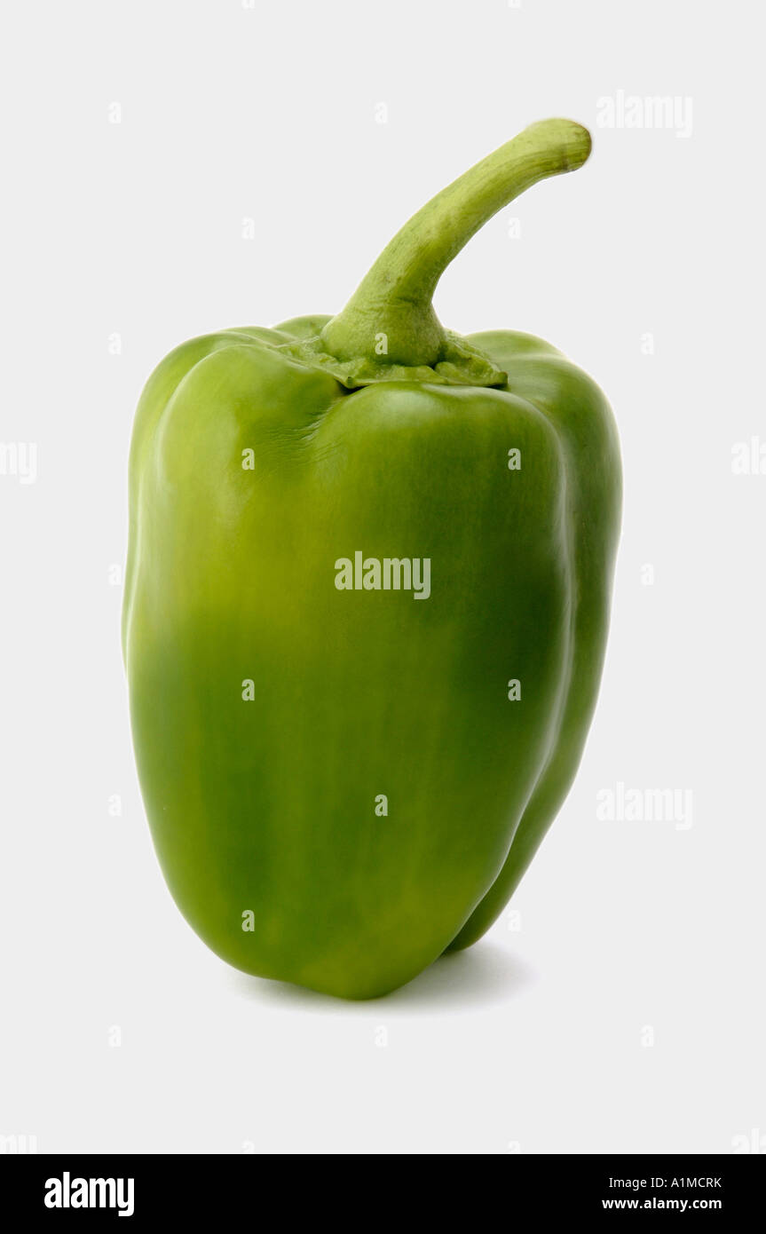HMA210093 Vegetable one green Capsicum white background Stock Photo - Alamy