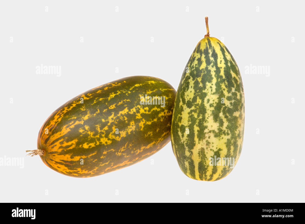 Cucumber Madras with white background Stock Photo - Alamy