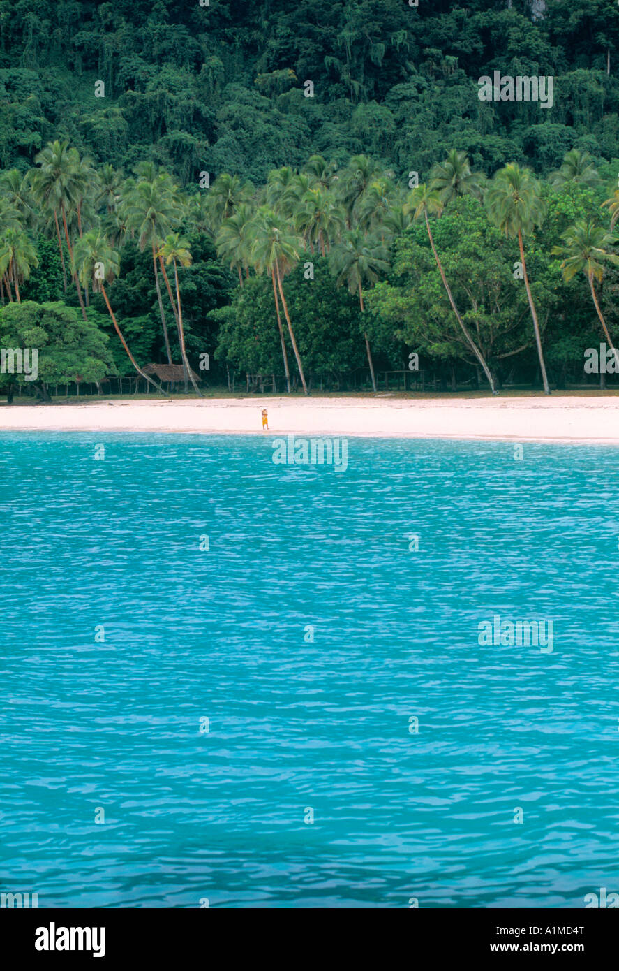 Champagne beach, Espiritu Santo, Vanuatu Stock Photo - Alamy